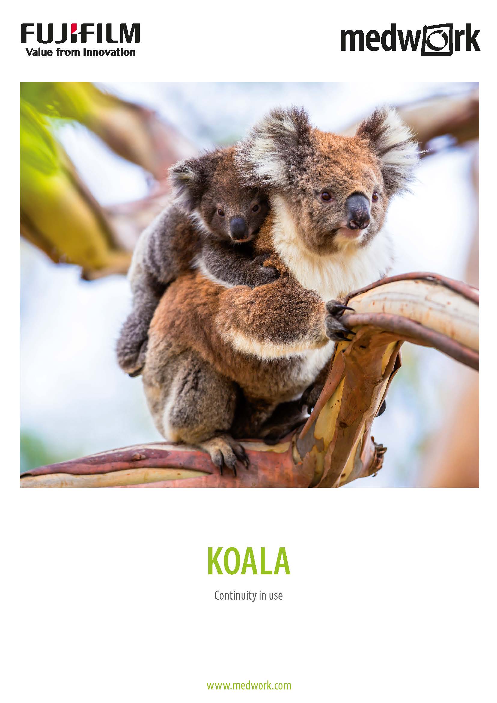 Downloads | FUJIFILM medwork